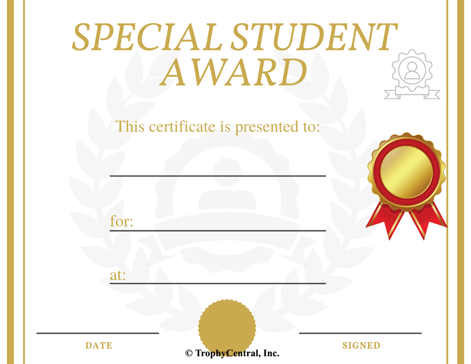 Student Award Certificate Template