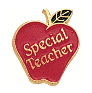 Special Teacher - BR Series Enameled Pins
