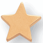 Flat Star - 1/2 Inch Gold Pins | TrophyCentral