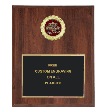 Beautiful Star Performer Insert Plaque from TrophyCentral