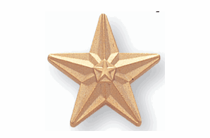 Custom Trophies + Trophy Engraving: Trophies and Awards, Plaques, and More