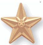 Award Pins: Custom Pins + Lapel Pins