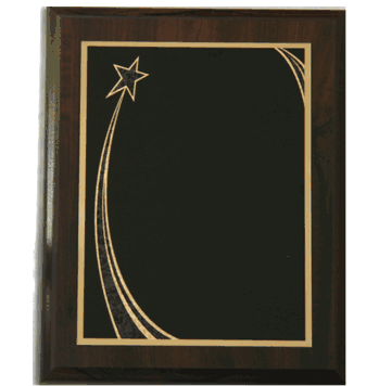 Star plaque, Plaques with Star, Engraved Star Plaques