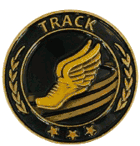 Track Lapel Pins, Pin for Track, TrophyCentral Track Pins