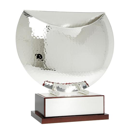 Treviso Sartor European Silver Cup Award | TrophyCentral