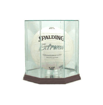 Volleyball Display Case (Glass, Octagon) | TrophyCentral