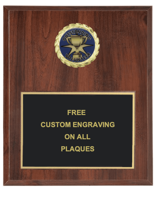 Beautiful Volunteer Insert Plaque from TrophyCentral