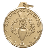 Volunteer Medals | Medal for Volunteer | TrophyCentral