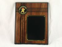 Insert Plaques, Plaque with Insert, TrophyCentral