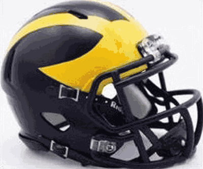Michigan Wolverines Helmet Riddell Replica Full Size Speed Painted