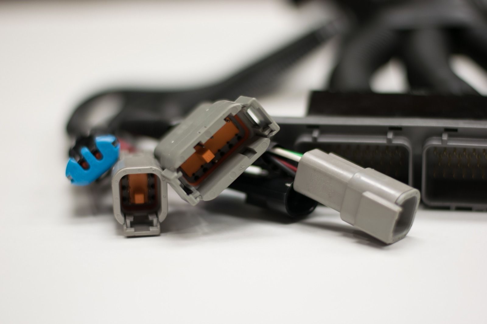 EMS Systems & Harnesses for Supra: AEM, Haltech, Motec, Link, VIPEC ...