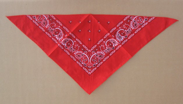 Triangle Polyester Paisley Bandanas, Dozen - Tan's Club