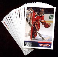 Florida Panthers Hockey Card Team Sets