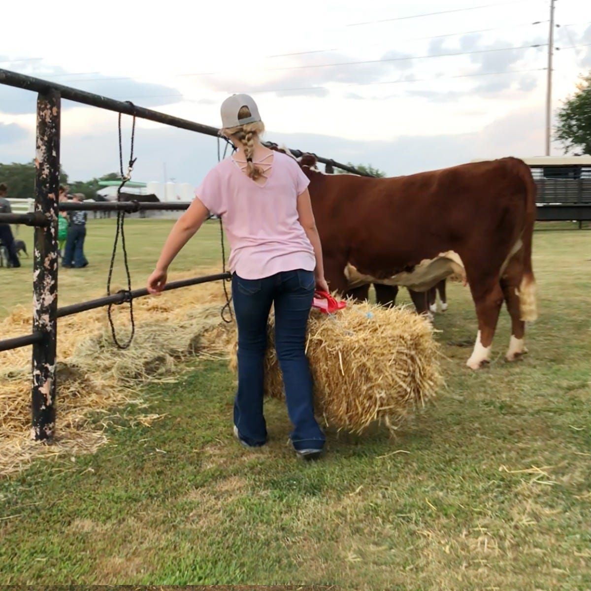 Bale Handle by Reinsman & Circle Y