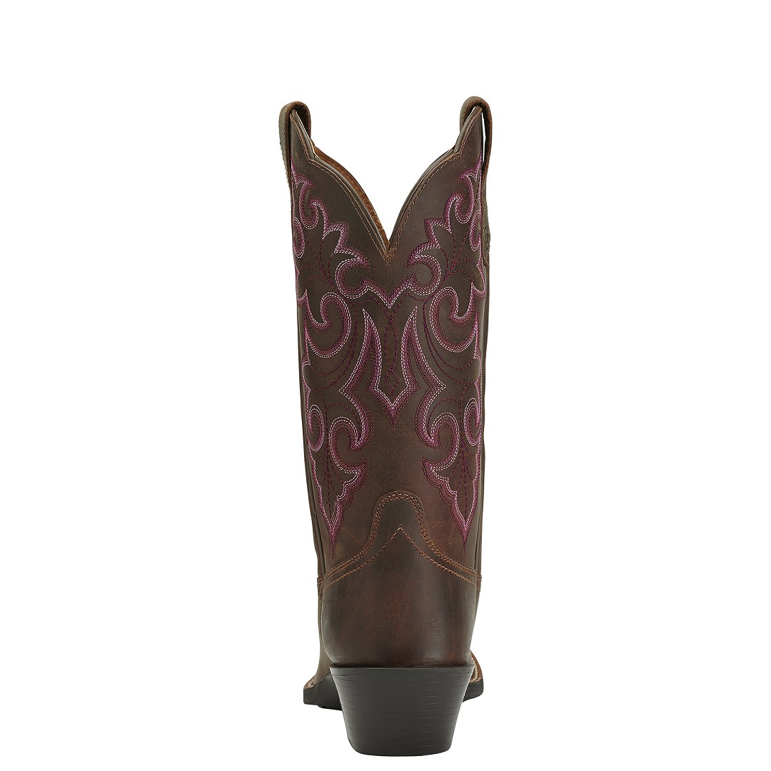 Women's Ariat Round Up Square Toe Boots 10014172