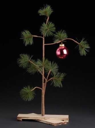 Real Charlie Brown Tree Charlie Brown Christmas Tree | A Plant By