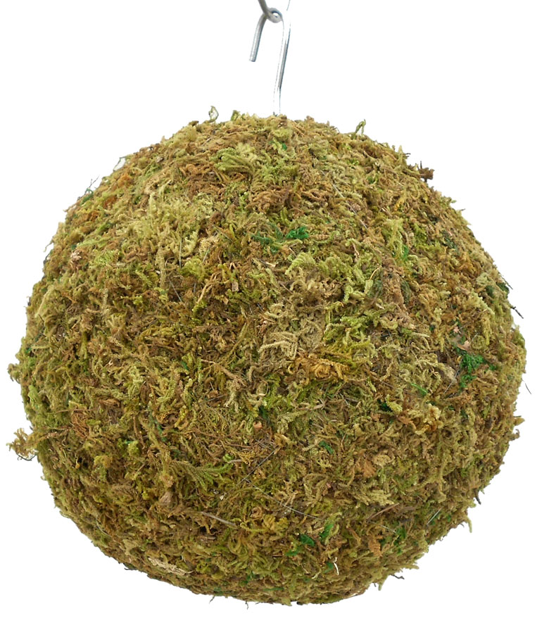12" Green moss ball