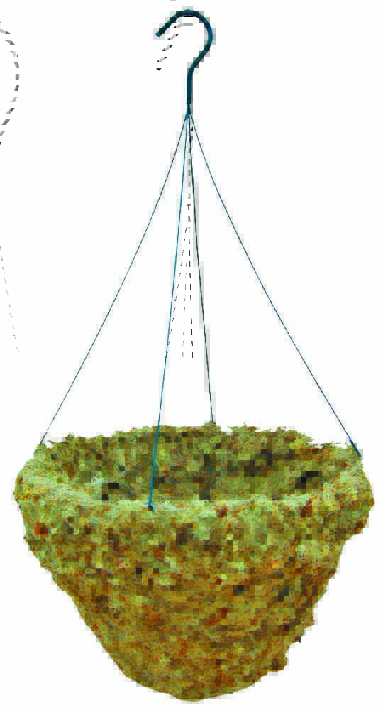 16" Super deep sphagnum moss basket