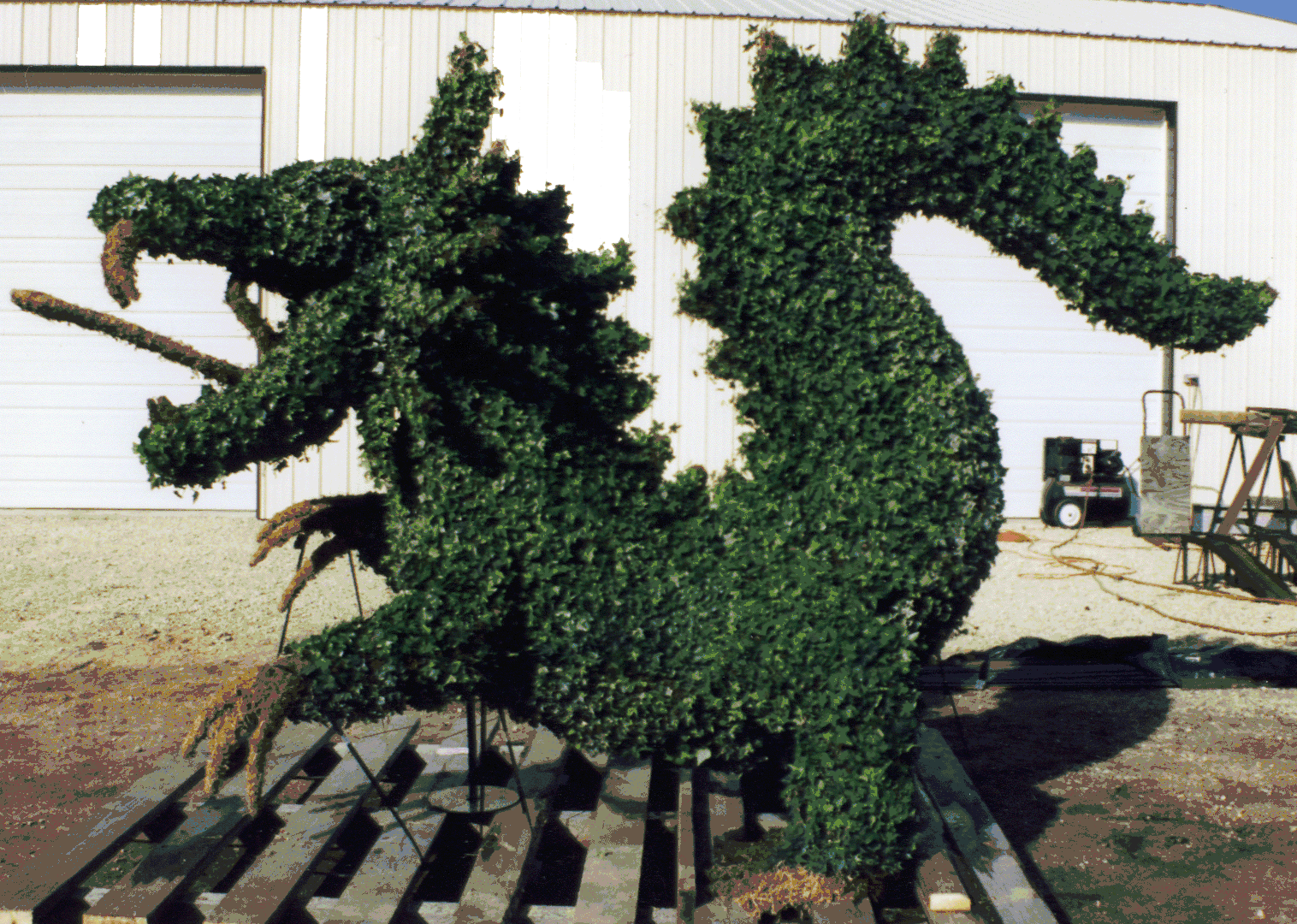 Dragon topiary