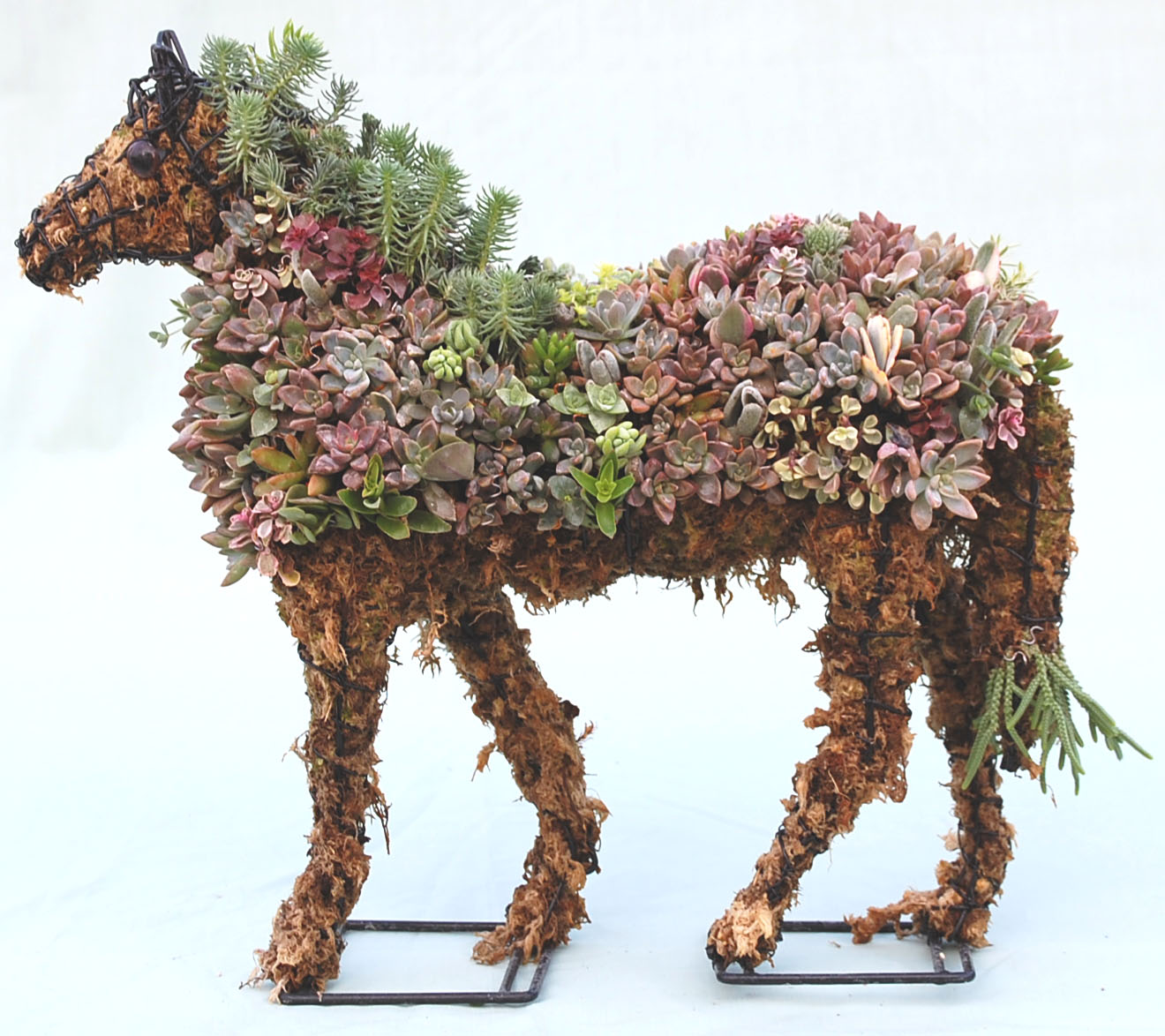 Green Horizon Topiary Art