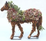 Green Horizon Topiary Art