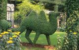 Topiary Art Works