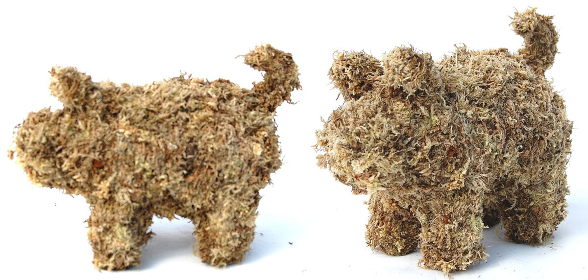 Pig Topiary - filled with sphagnum moss 5" long