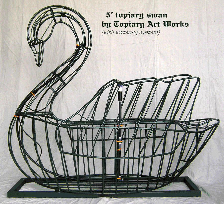 Swan topiary