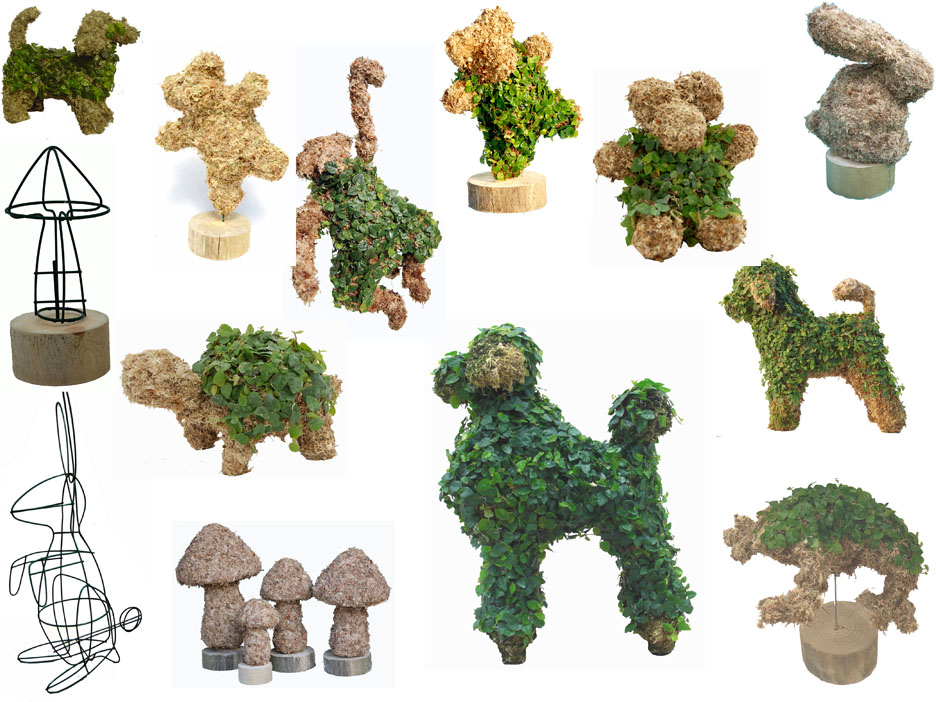 Table top topiaries