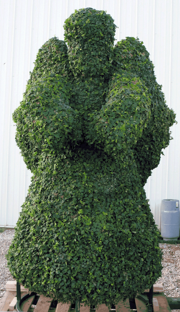 Topiary Angel