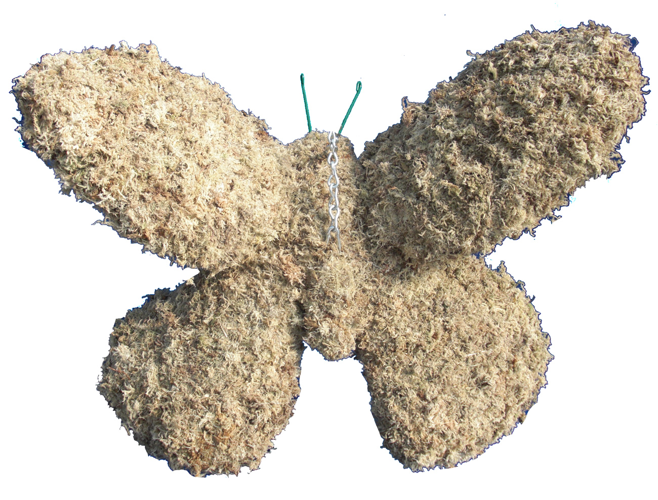 Topiary Butterfly - large filled with sphagnum moss