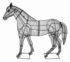 Topiary Horse Frames - Green Horizon Wire Art