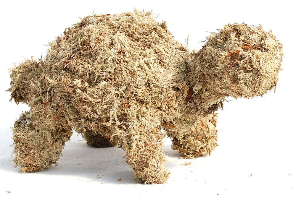 Topiary Turtle - Large