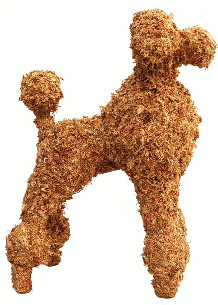 Topiary Poodle