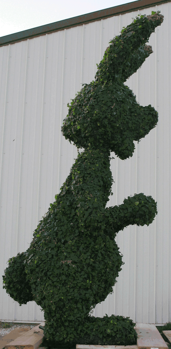 Topiary Rabbit