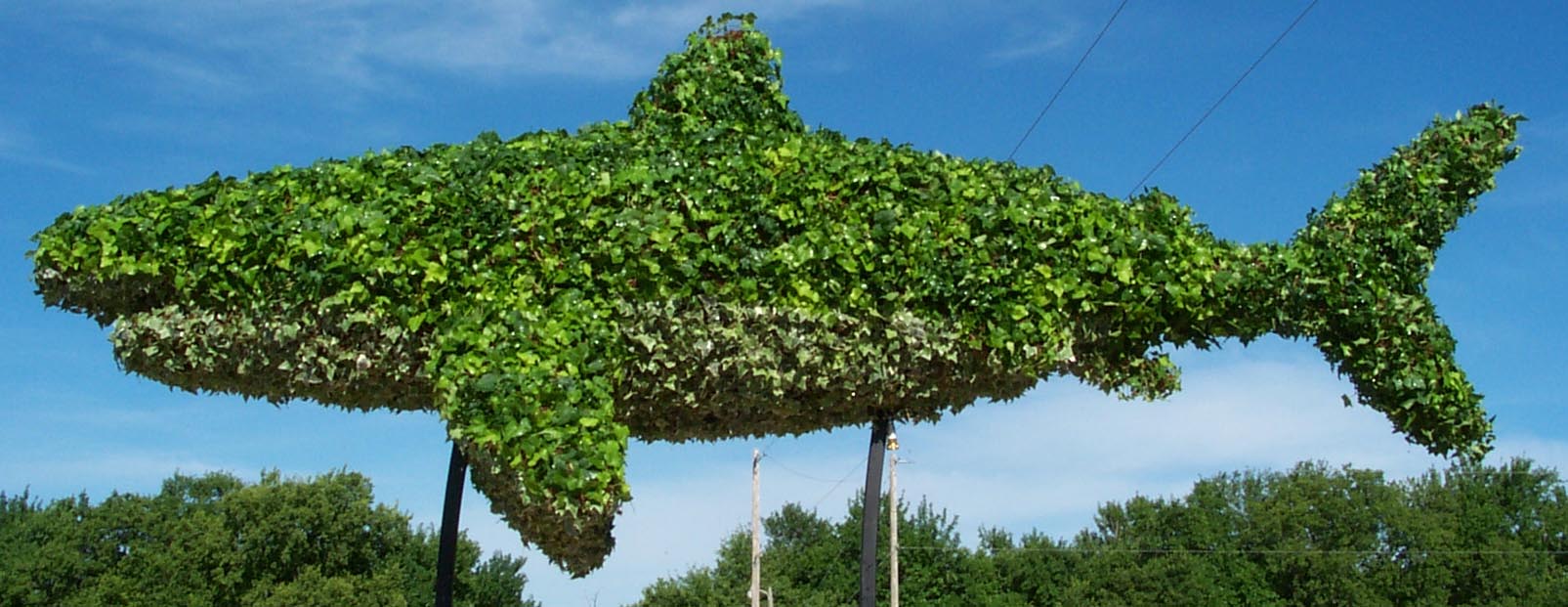 Topiary Shark