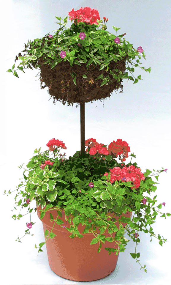 TOPIARY SYSTEMS: POLE BASKETS - TOPIARY TOWERS