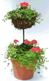TOPIARY SYSTEMS: POLE BASKETS - TOPIARY TOWERS