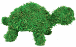 Topiary Turtle - medium