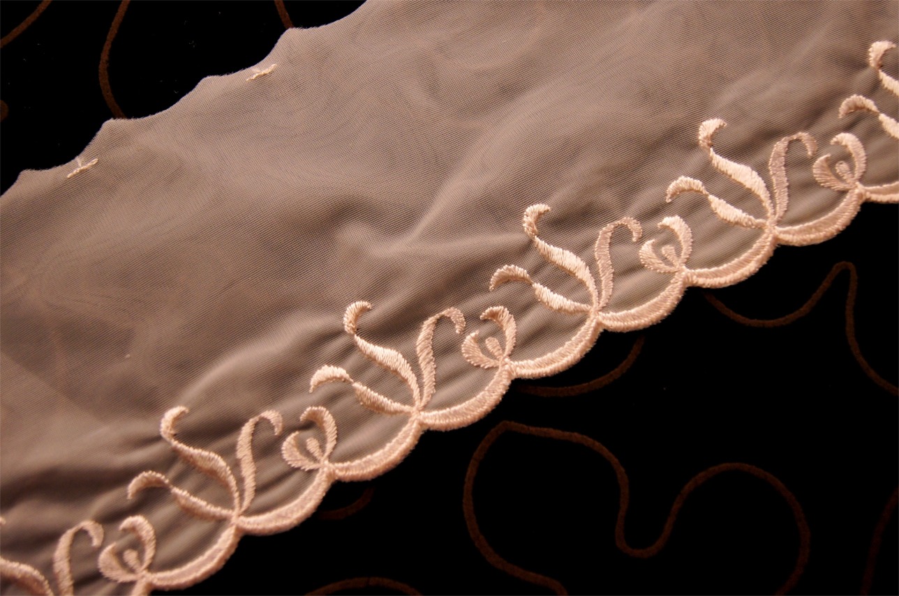 4 1/2" Light Nude Embroidered Sheer Lace Trim #1003