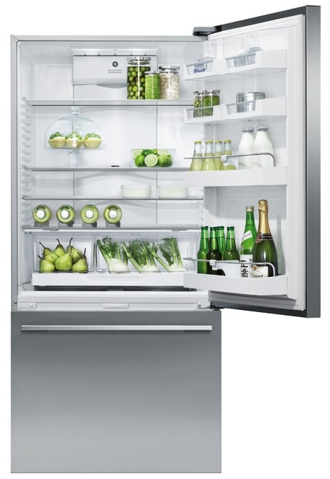 RF170WDRX5N Fisher & Paykel ActiveSmart Fridge - 17 cu. ft. Counter ...