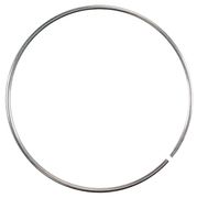 ISO160 Split Retaining Ring (ISO160-600-RR-SS)