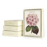 Cavallini Clipiola Italian Paper Clips