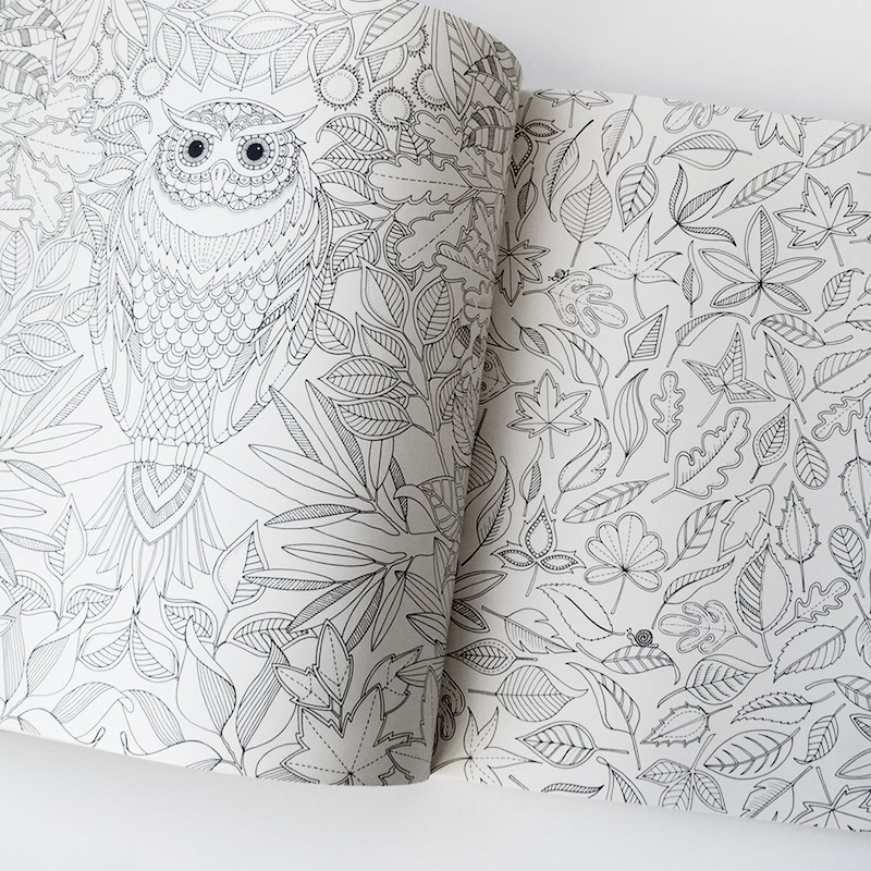 Secret Garden Coloring Book