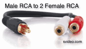 6 Inch One RCA Mono Male to Two RCA Stereo Female Y-Cable