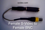 S-Video to BNC Adapters