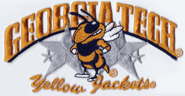 Yellow Jacket Baseball Logo