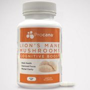 Lion's Mane Mushrooms, 90 Capsules, Procana Laboratories | VitaSprings.com
