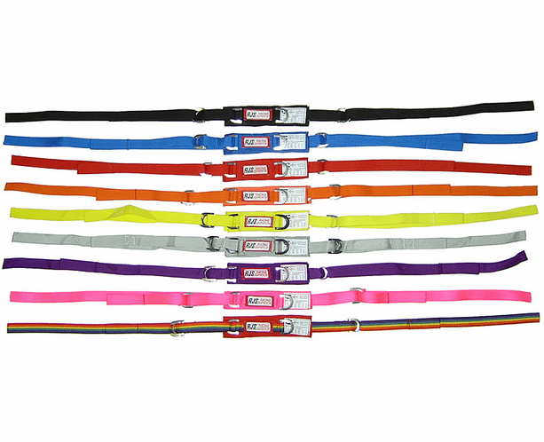 RJS 2" Band Arm Restraint