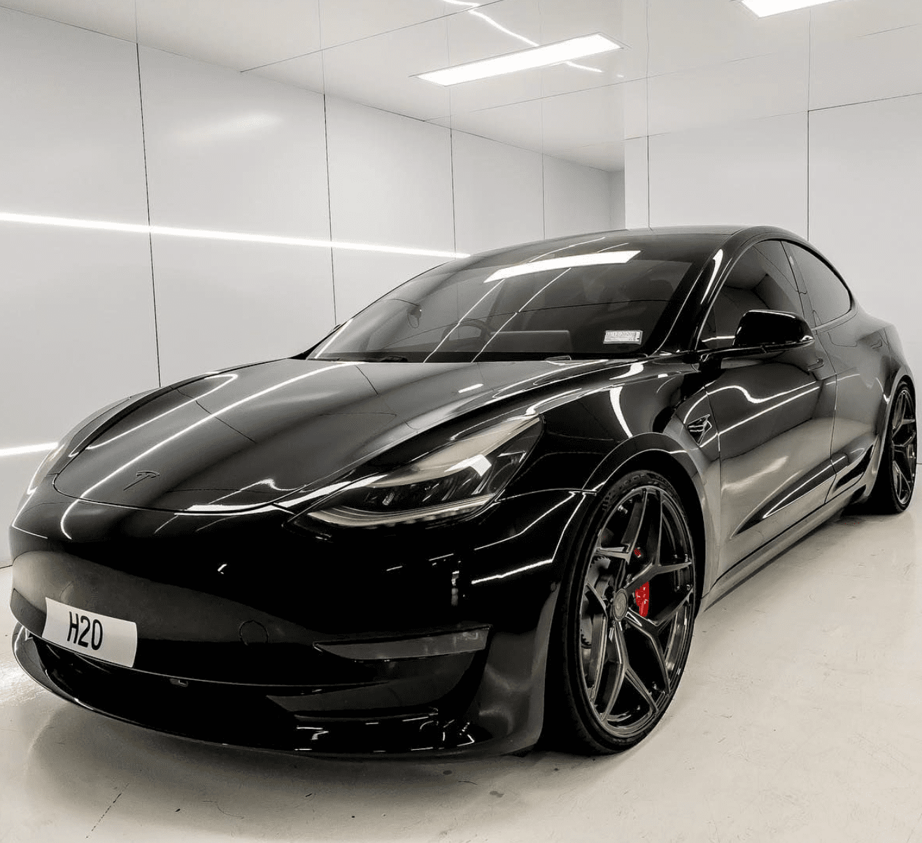 TESLA MODEL 3 SIGNATURE SV107